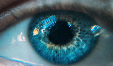 Home Page - Retina Australia